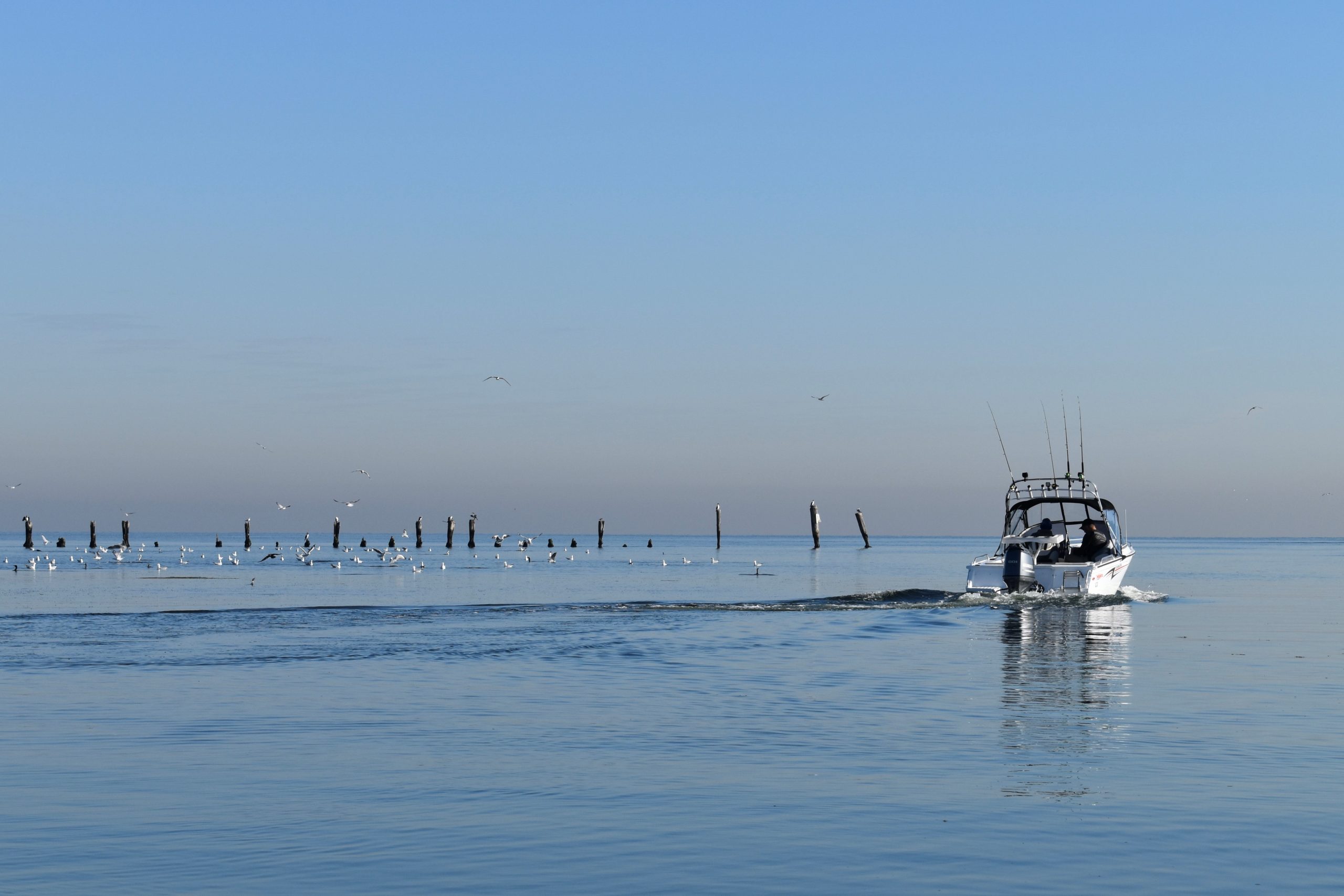 Read The Latest News | Better Boating Victoria