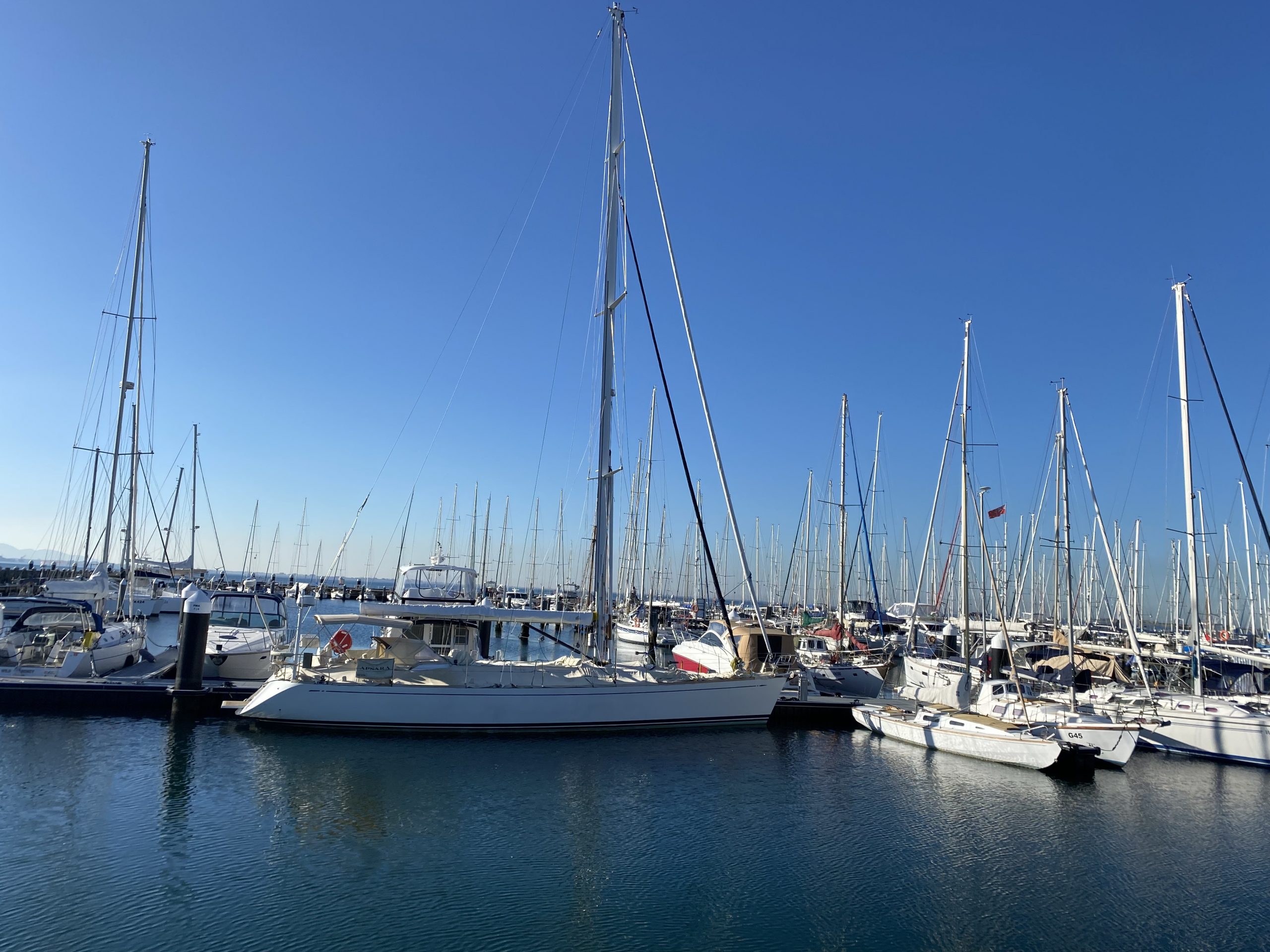 Read The Latest News | Better Boating Victoria